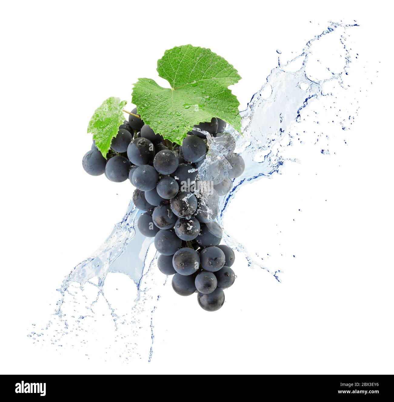 purple grapes in water splash isolated on a white background Stock Photo - Alamy