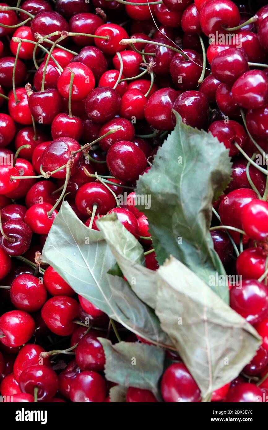 Organic Delicious Fruit Red Cherry Photo Stock Photo - Alamy