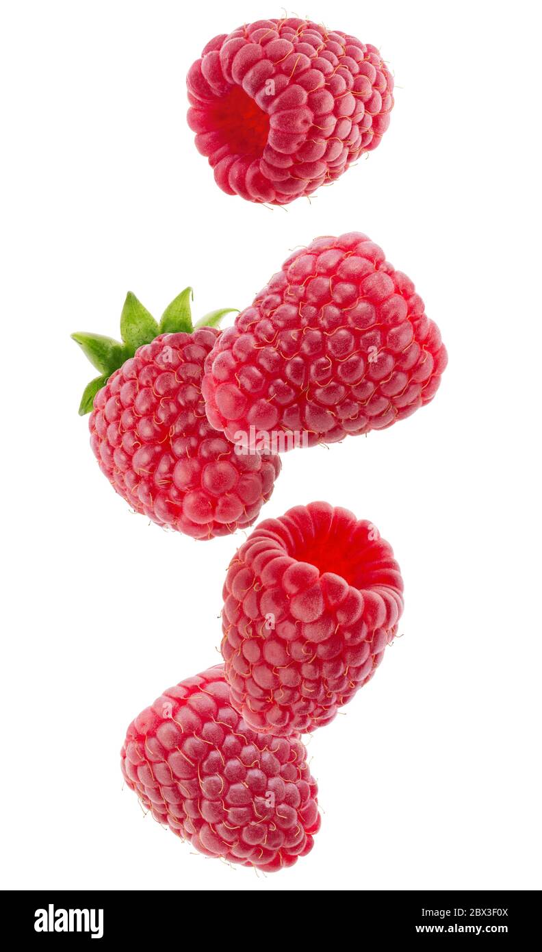 falling raspberries isolated on a white background Stock Photo - Alamy