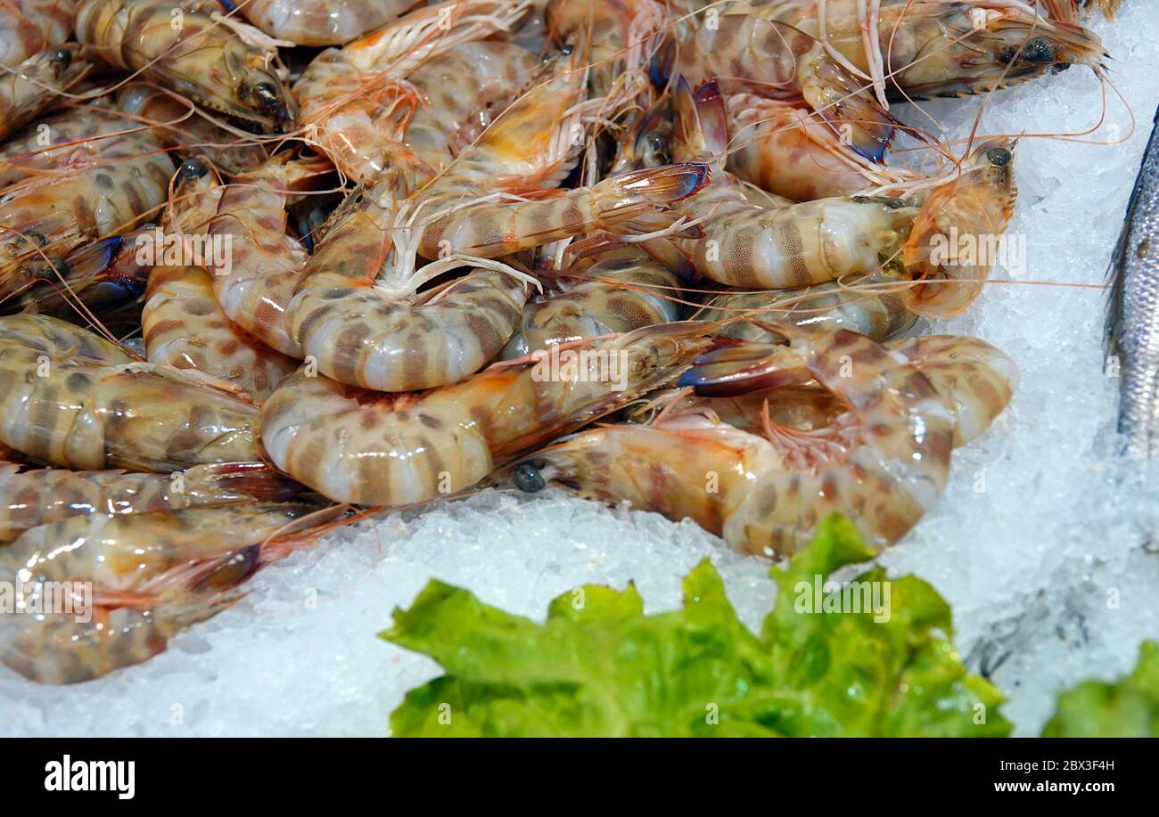 Raw Fish Meat Food Shrimp on Ice in Market Stock Photo - Alamy