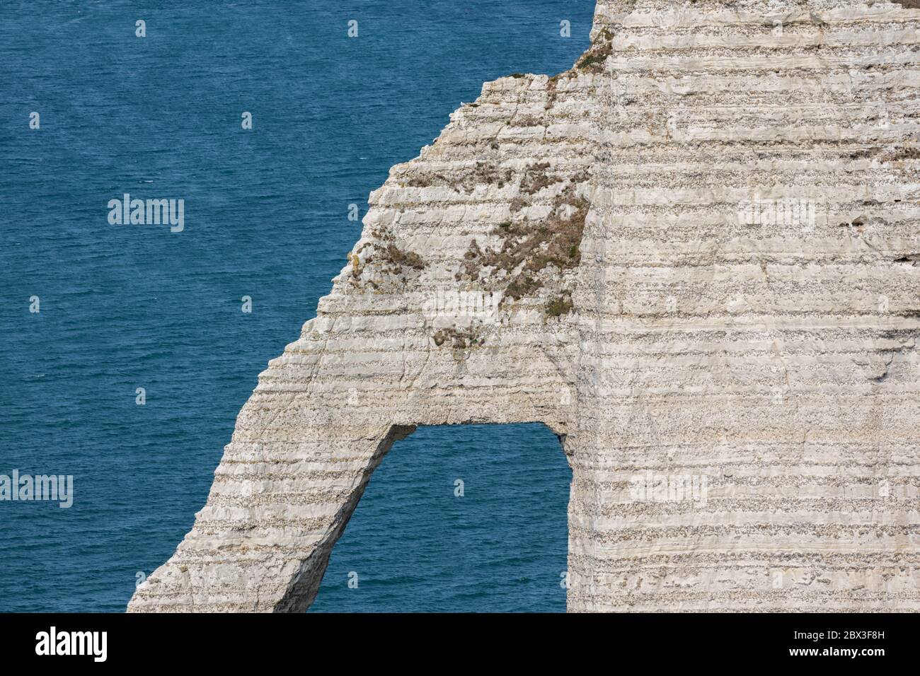 Elephant cliffs with people near Etretat in Normandie, France Stock ...