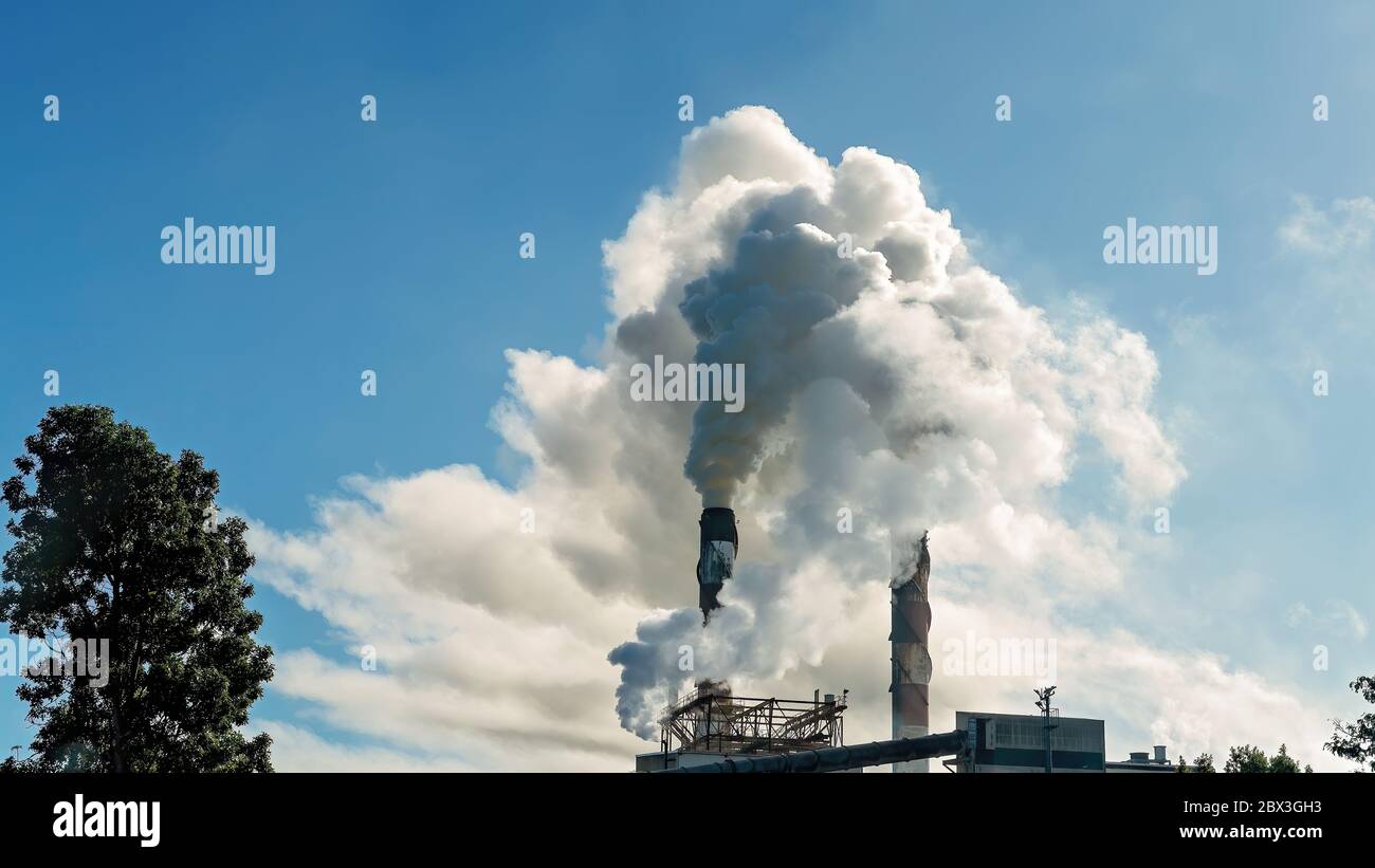 Smoke coming from the chimneys as a sugar mill gears up for the ...