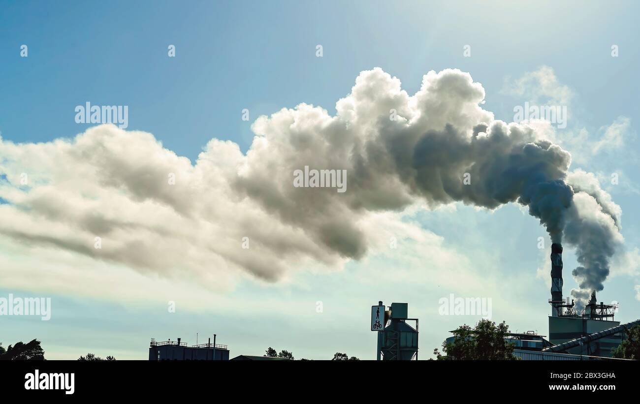Smoke coming from the chimneys as a sugar mill gears up for the ...