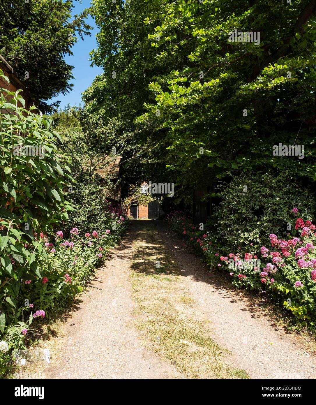 Scene driveway flower hi-res stock photography and images - Alamy