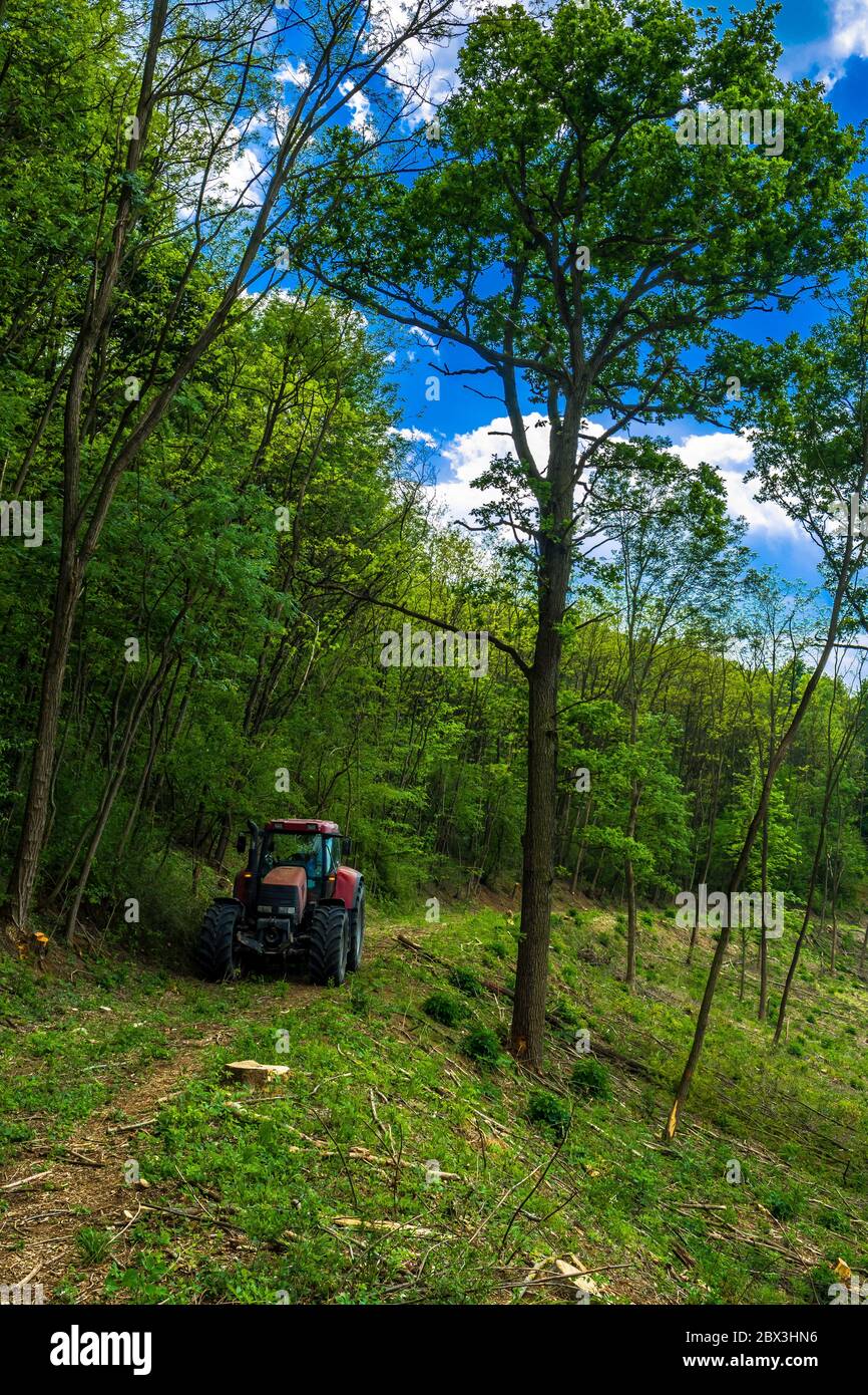 Tractor For Forestry Work On Narrow Path Beneath Trees Stock Photo - Alamy