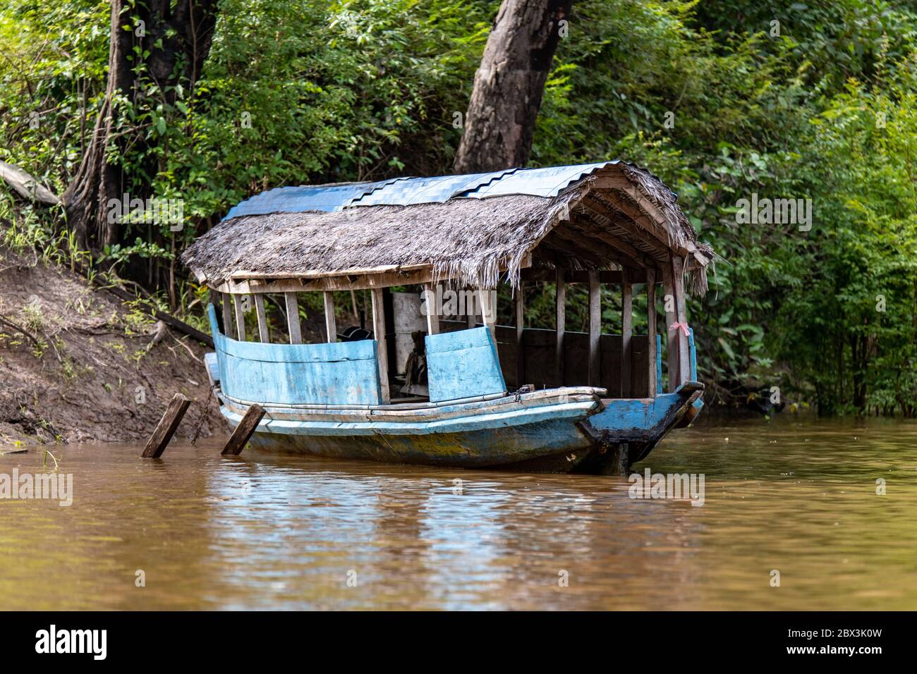 Riverbank amazonas hi-res stock photography and images - Alamy