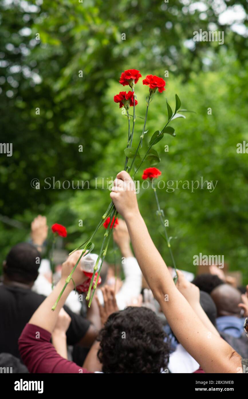 New York City, USA, 06/04/2020 (Photo by Shoun A. Hill Stock Photo - Alamy