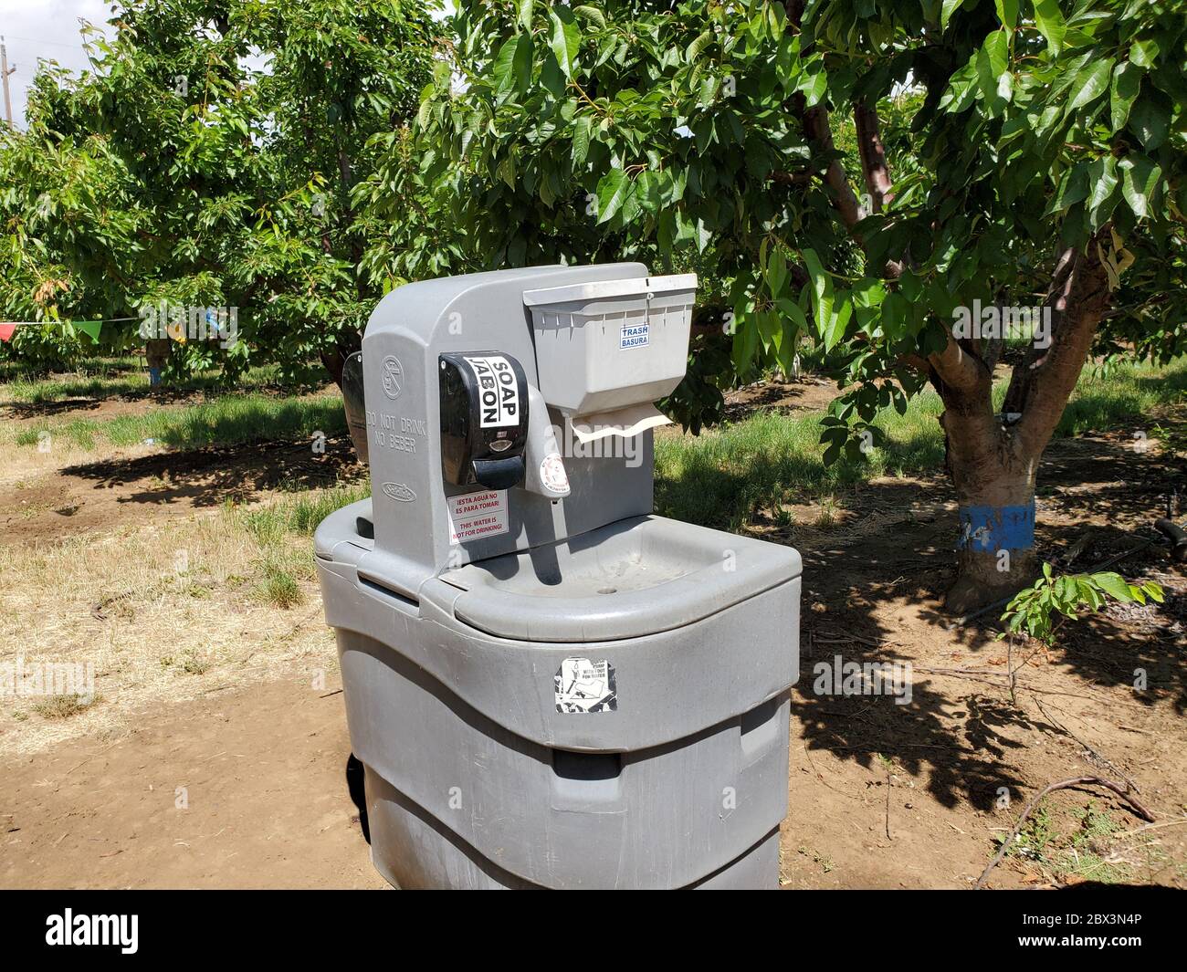 Hand washing station in agricultural setting at cherry farm in ...