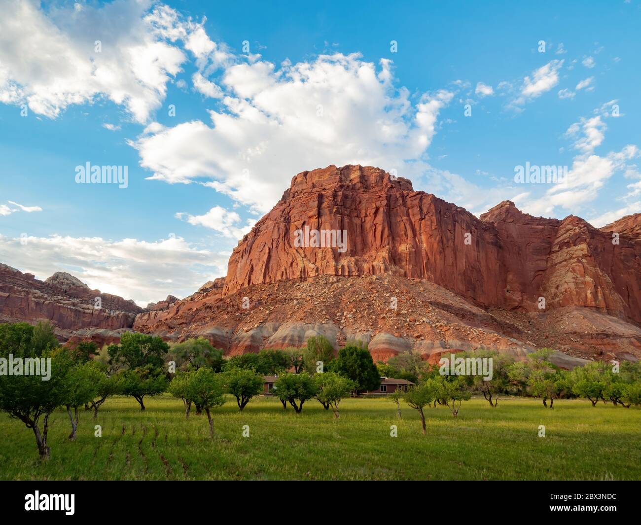 Beautiful Orchard trees along the Scenic drive of Capitol Reef National ...