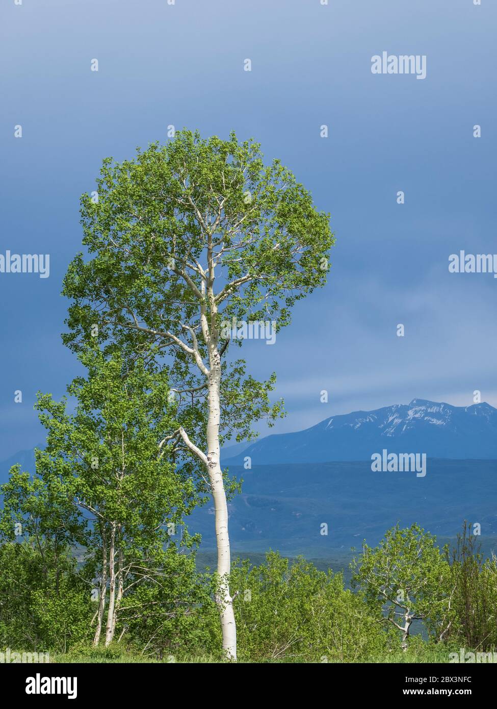 On top of mesa hi-res stock photography and images - Alamy