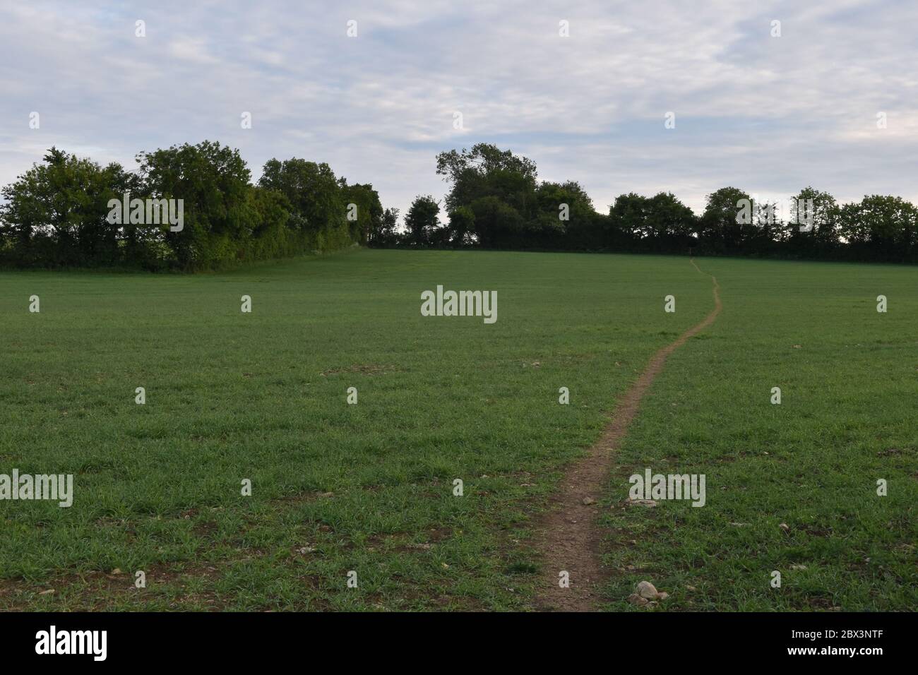 Well worn footpath hi-res stock photography and images - Alamy