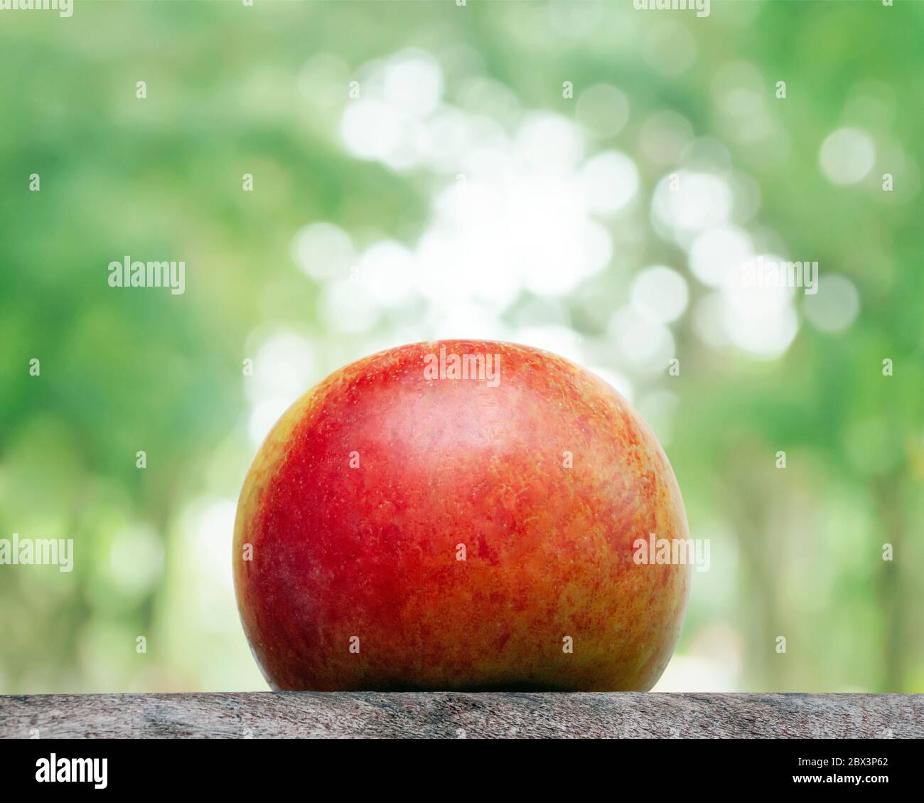 close up of an organic apple fruit with outdour Background Stock Photo ...