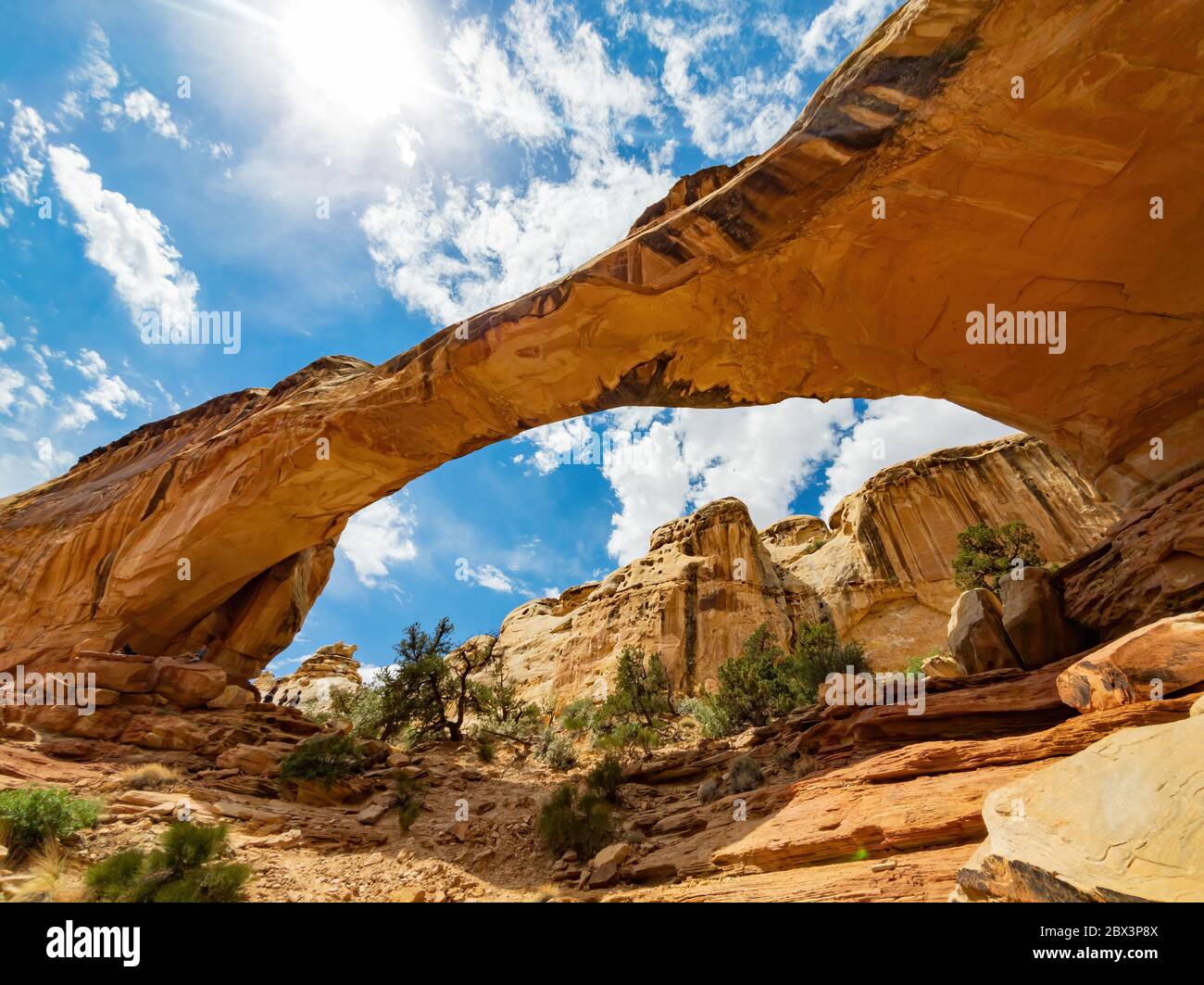 Beautiful landscape around the Hickman Bridge Trail of Capitol Reef ...