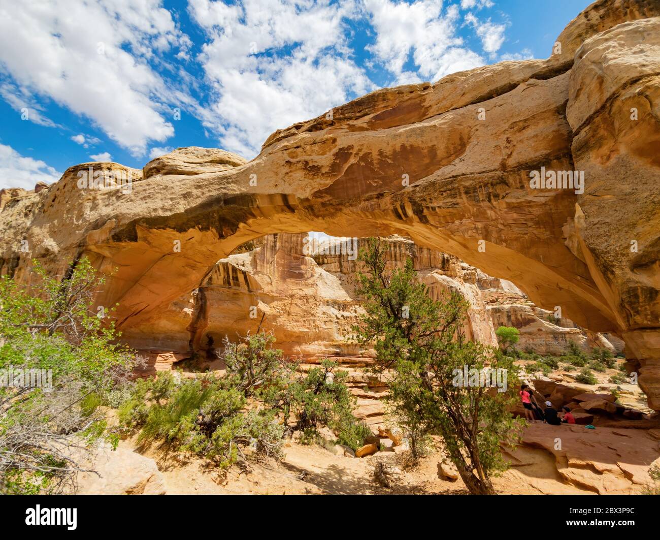 Beautiful landscape around the Hickman Bridge Trail of Capitol Reef ...