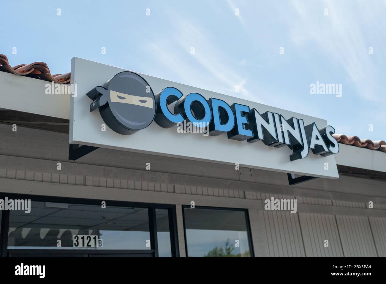 Code Ninja Salamander