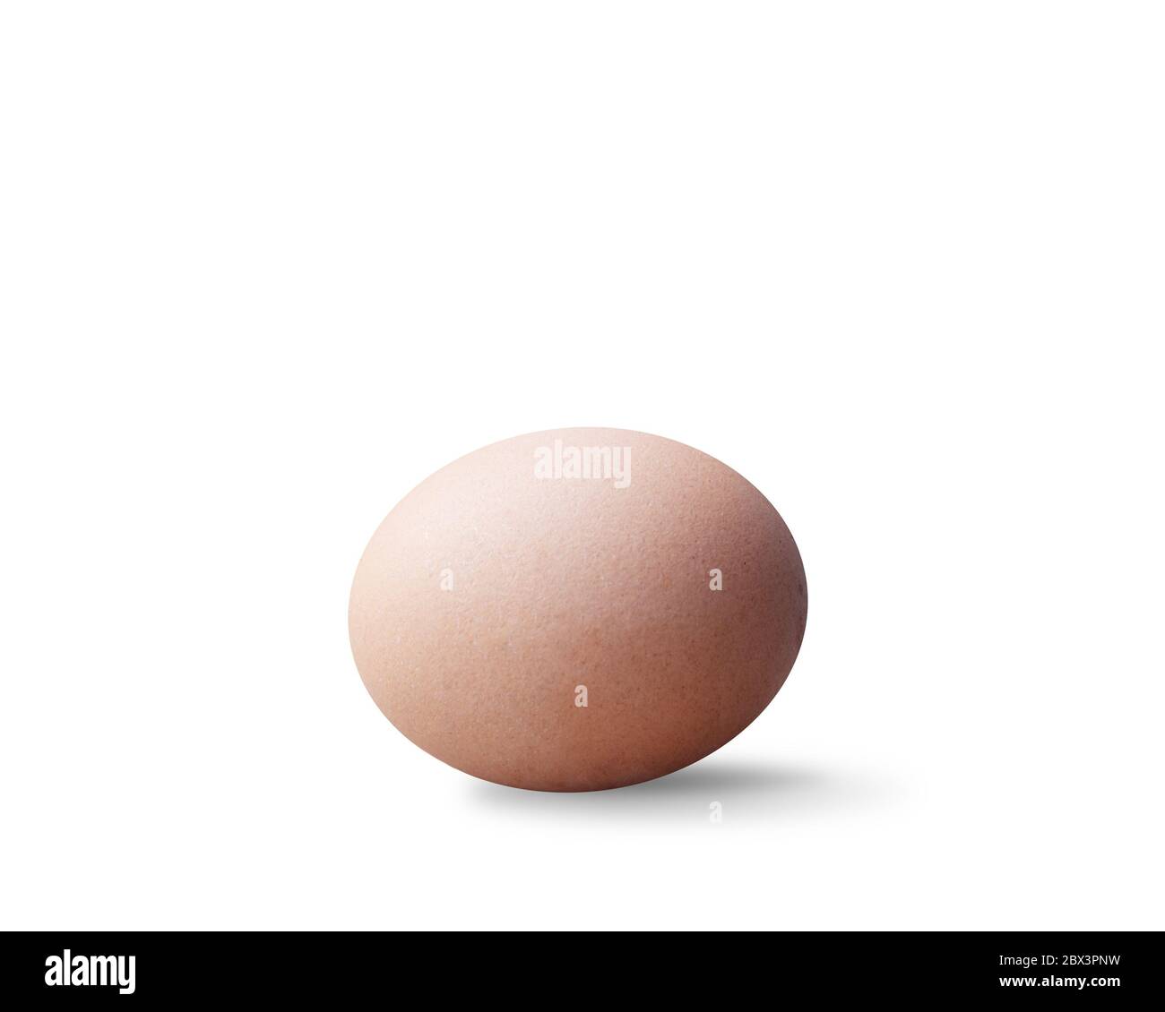 close up of single chicken egg Stock Photo - Alamy