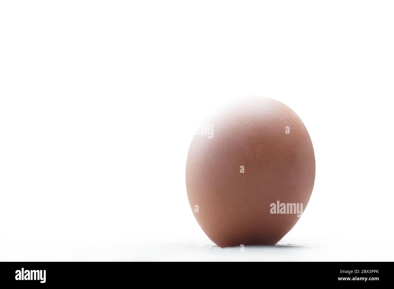 close up of single chicken egg isolated on white background Stock Photo ...