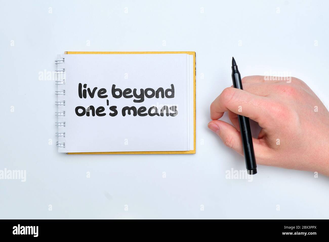 live beyond one means - english money idiom hand lettering on wooden ...