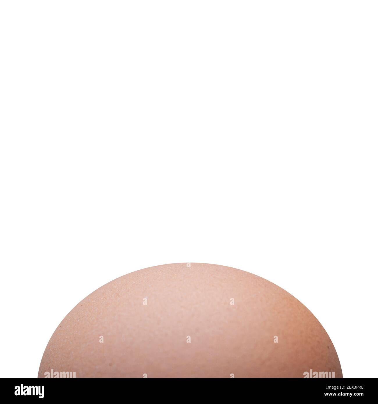 close up of single chicken egg isolated on white background Stock Photo ...