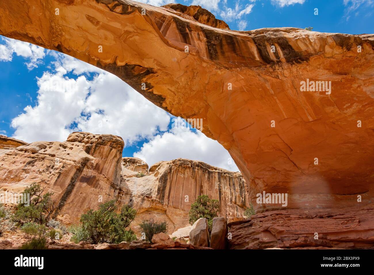 Sunny view of the Hickman Bridge of Capitol Reef National Park at Utah ...