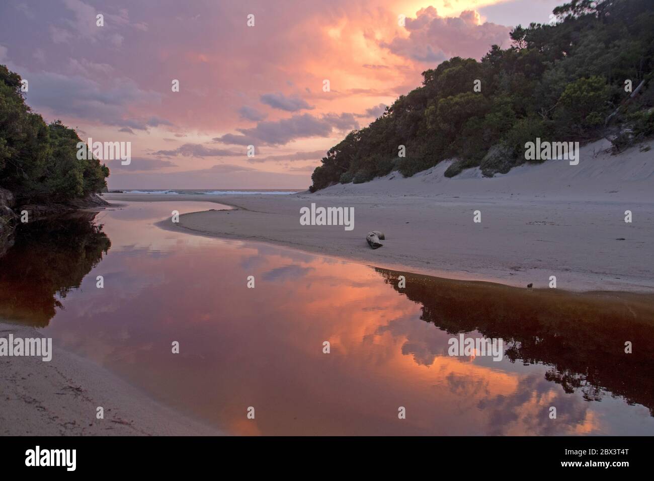 Osmiridium beach hi-res stock photography and images - Alamy
