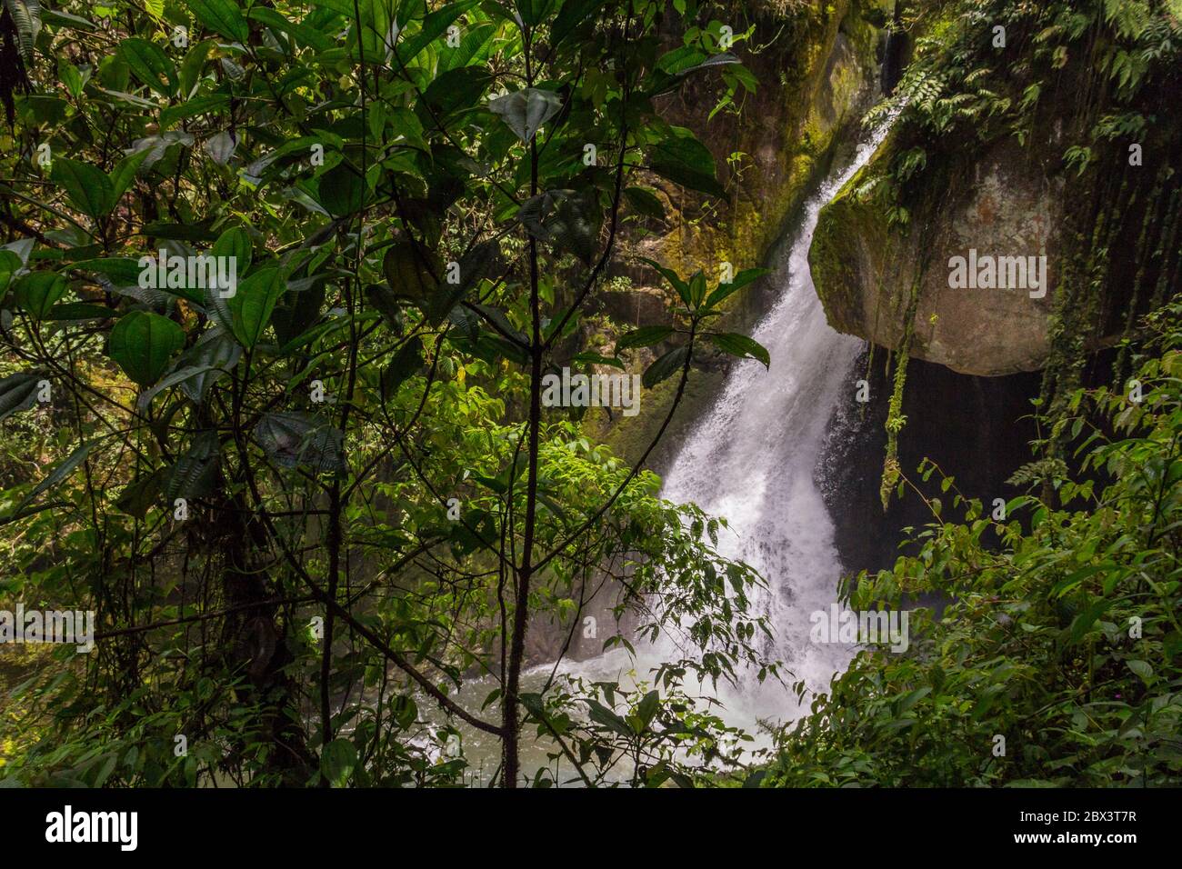 Waterfall Savegre River, Los quetzales national park San Gerardo de ...
