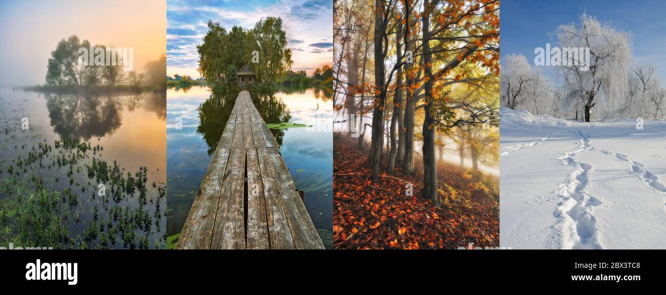 Four Seasons Collage - Spring, Summer, Autumn, Winter Stock Photo - Alamy