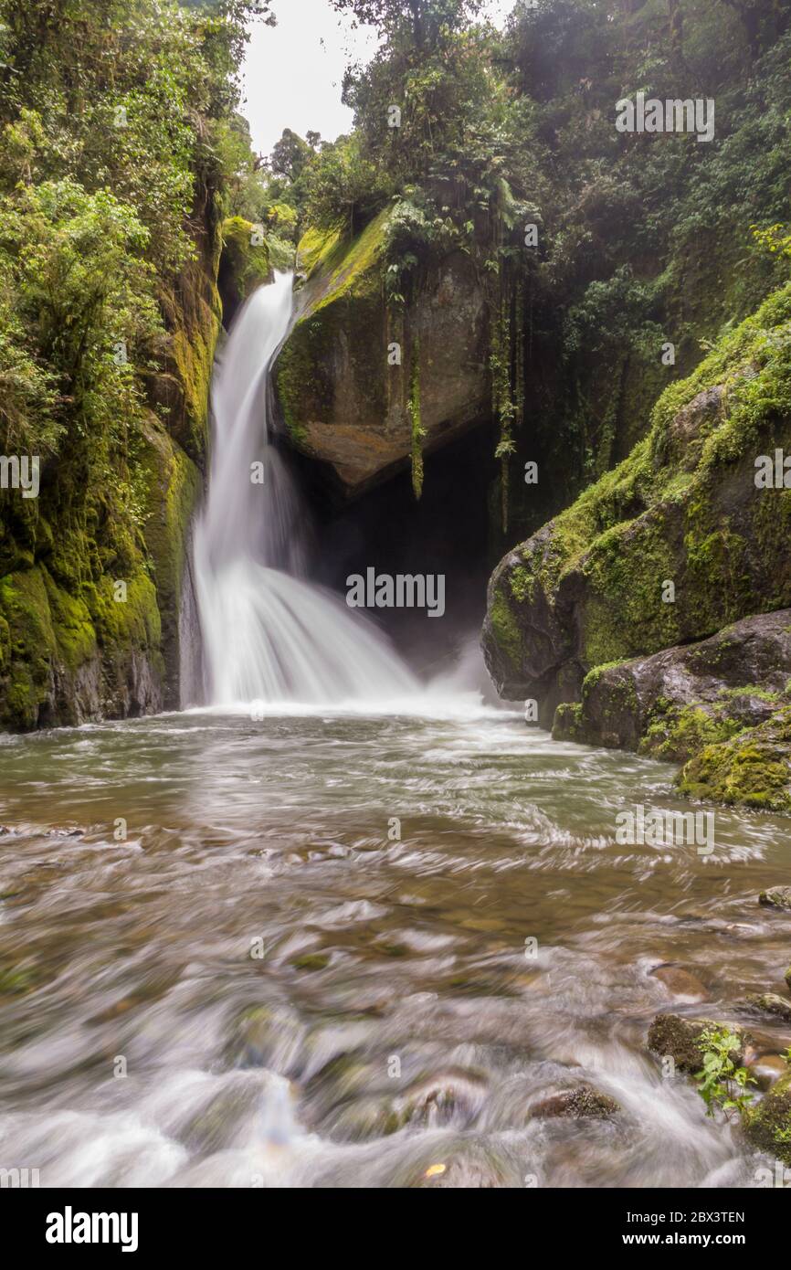 Waterfall Savegre River, Los quetzales national park San Gerardo de ...
