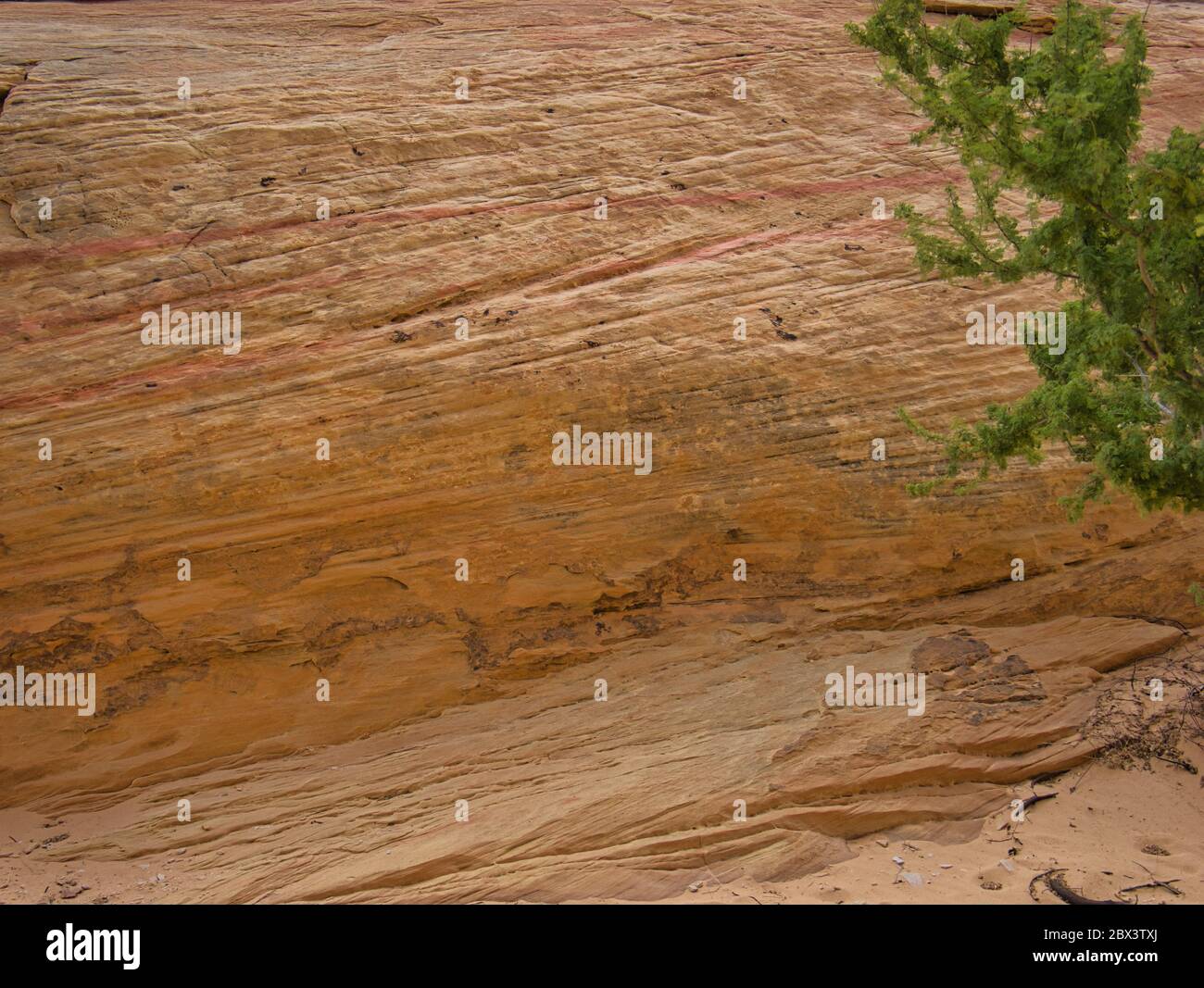 Porous rocks hi-res stock photography and images - Alamy