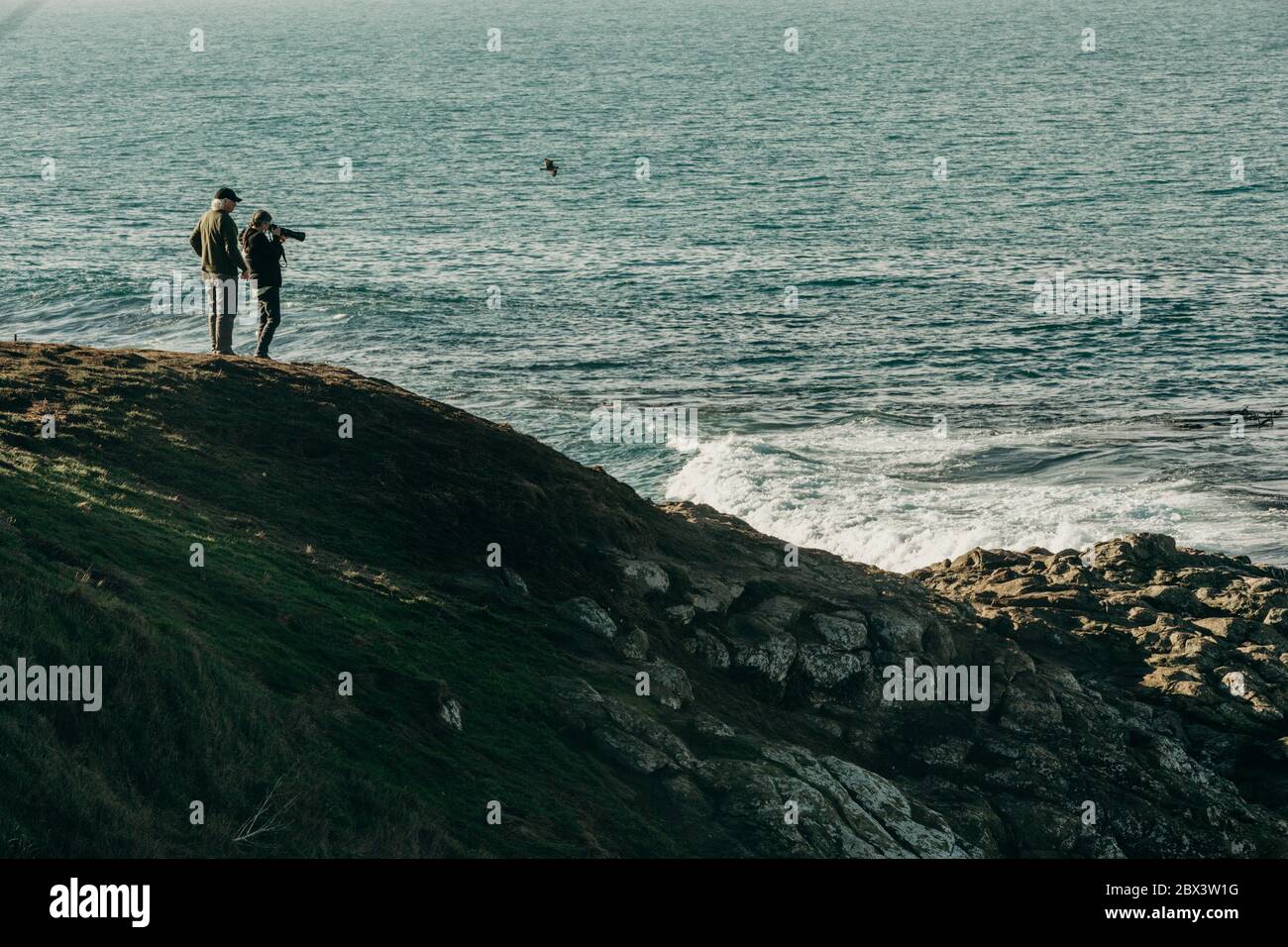 29/5/2020 Tourists keep looking at sea lion at Katiki Point Lighthouse ...