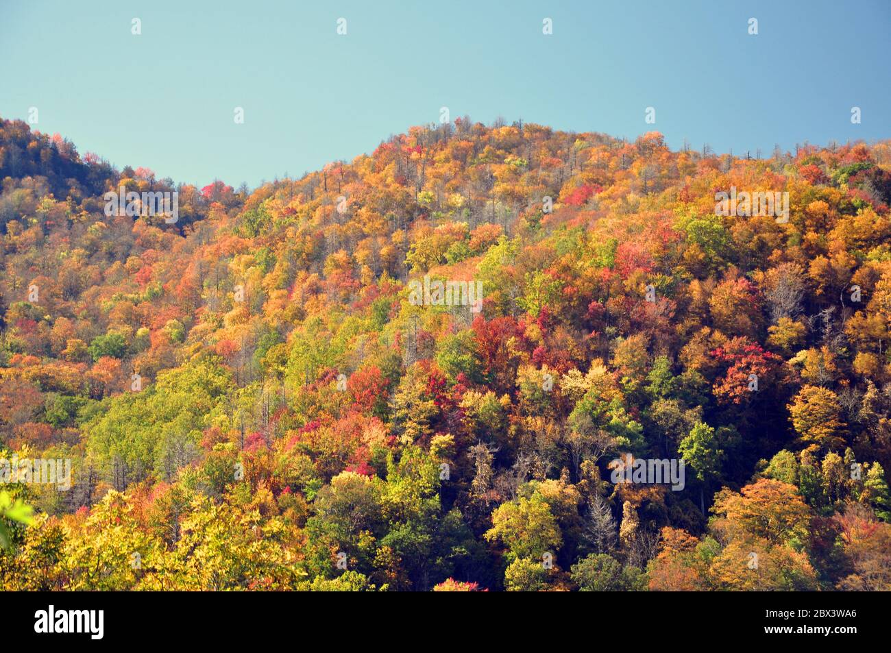 Smokey view hi-res stock photography and images - Alamy