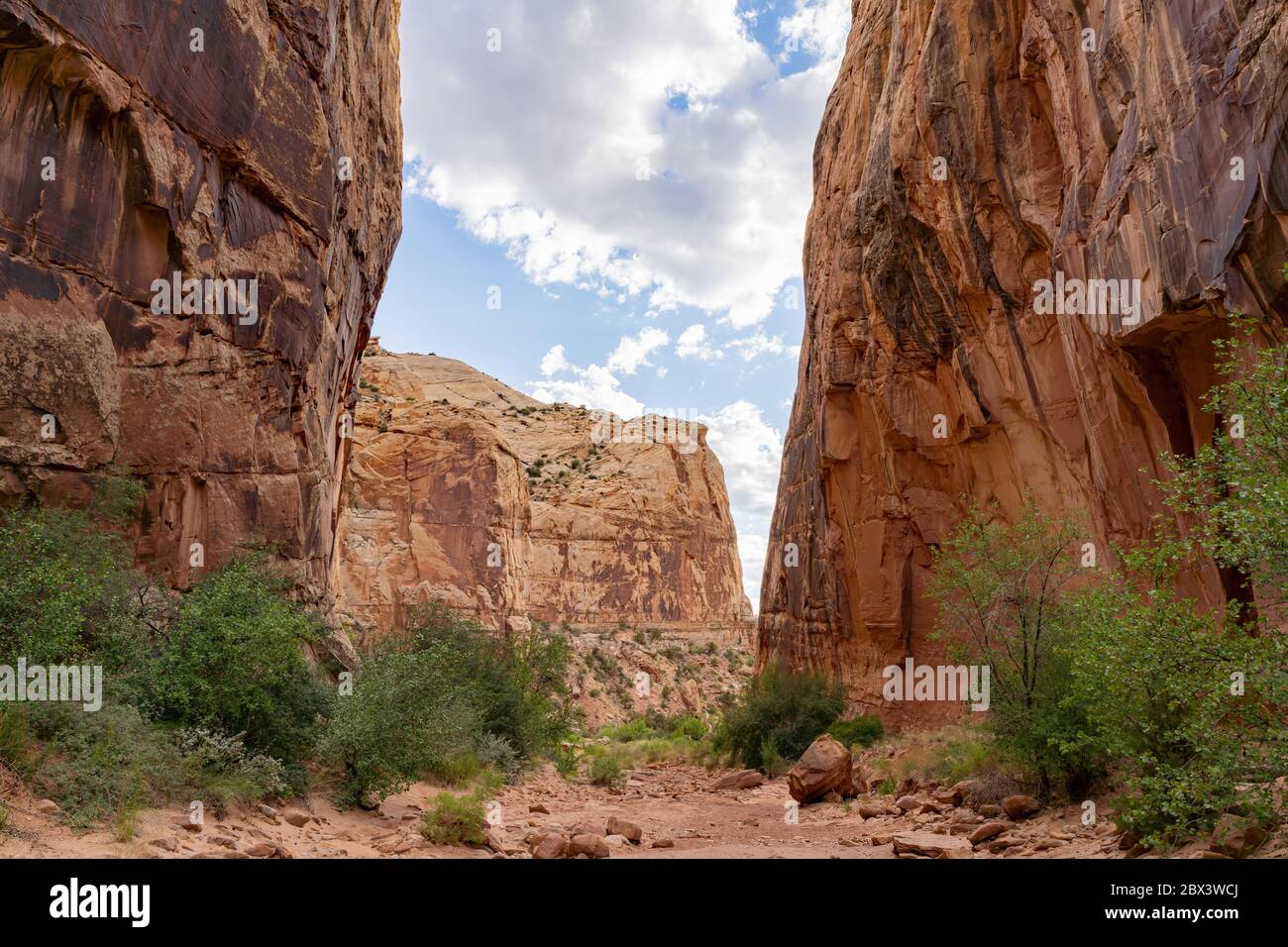 Beautiful landsacpe along the Pioneer Register of Capitol Reef National ...