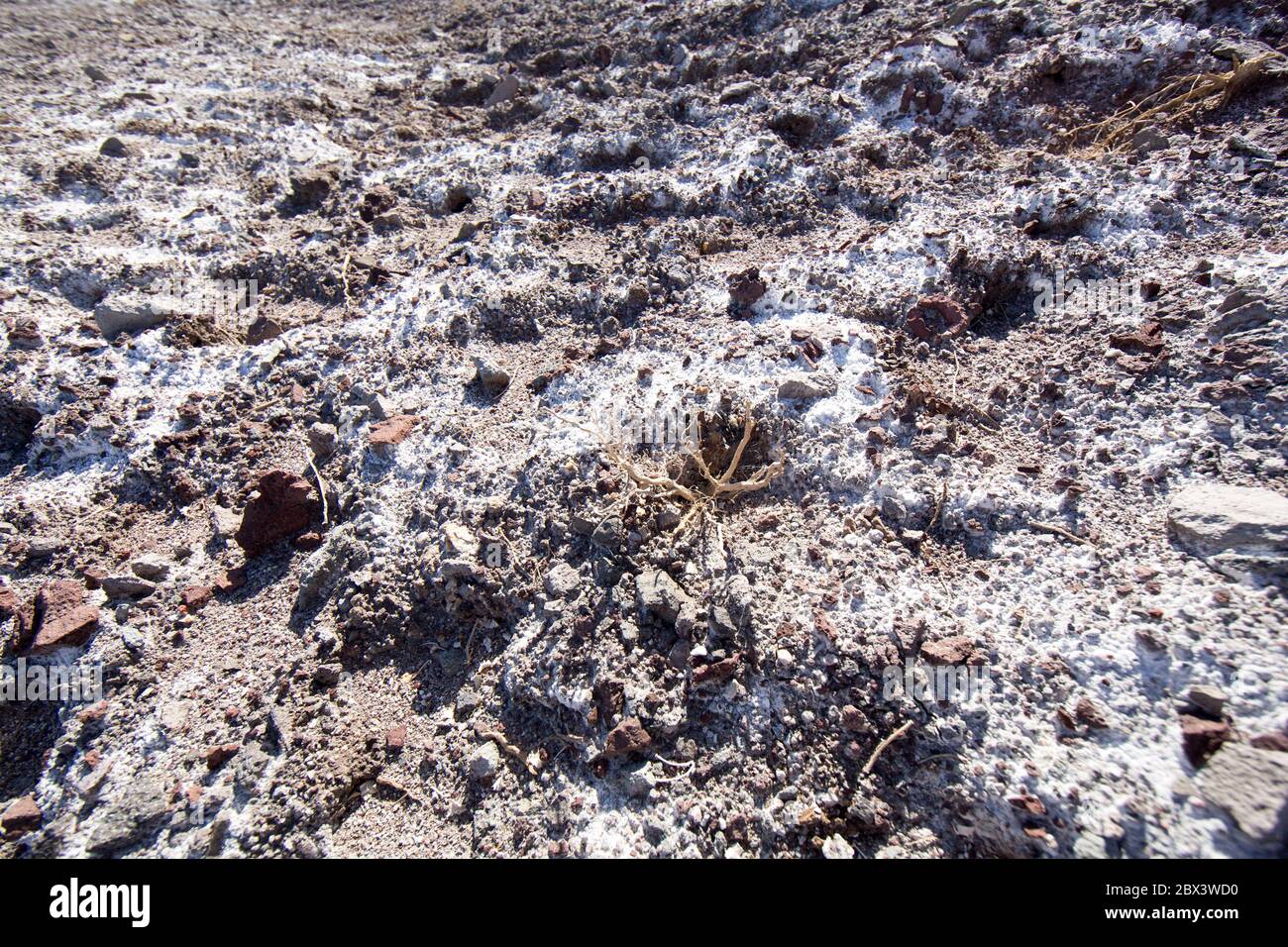 Badwater Basin, Death Valley, the lowest point in North America Stock ...