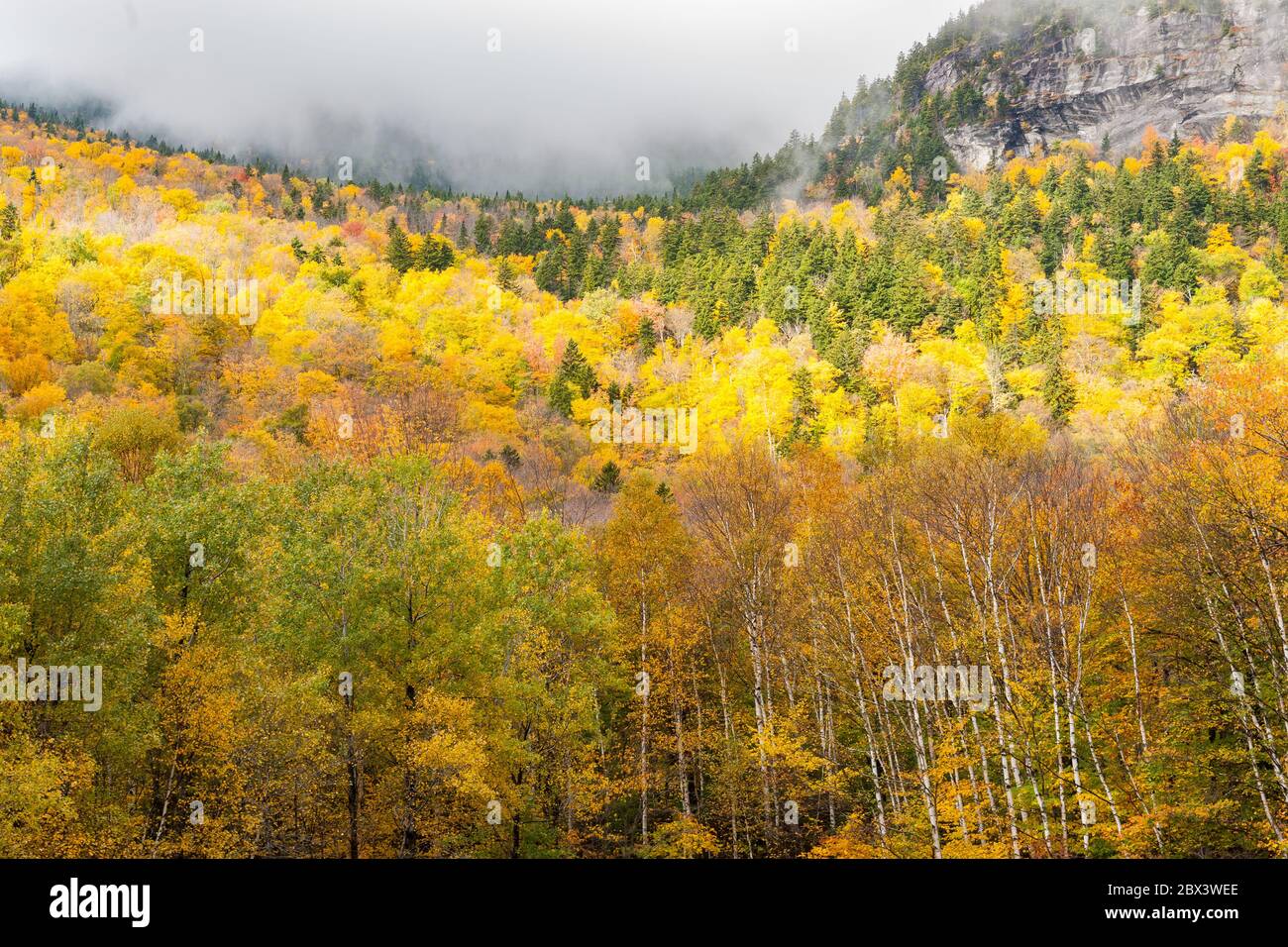 Fall photos hi-res stock photography and images - Alamy