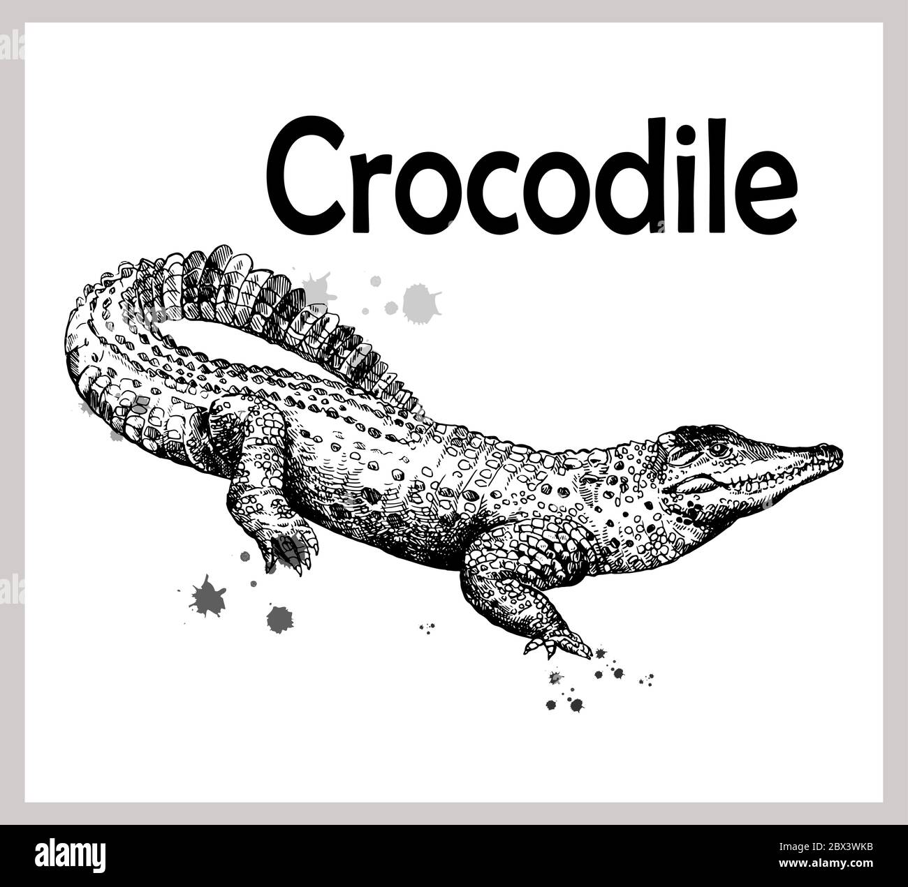 Hand drawn sketch style crocodile isolated on white background. Vector ...