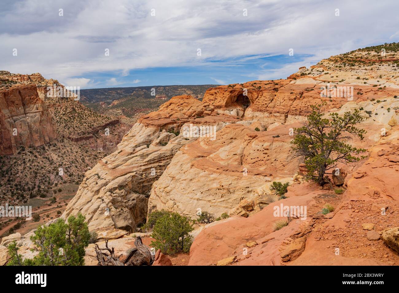 Daytime of the Beautiful Cassidy Arch of Capitol Reef National Park at ...