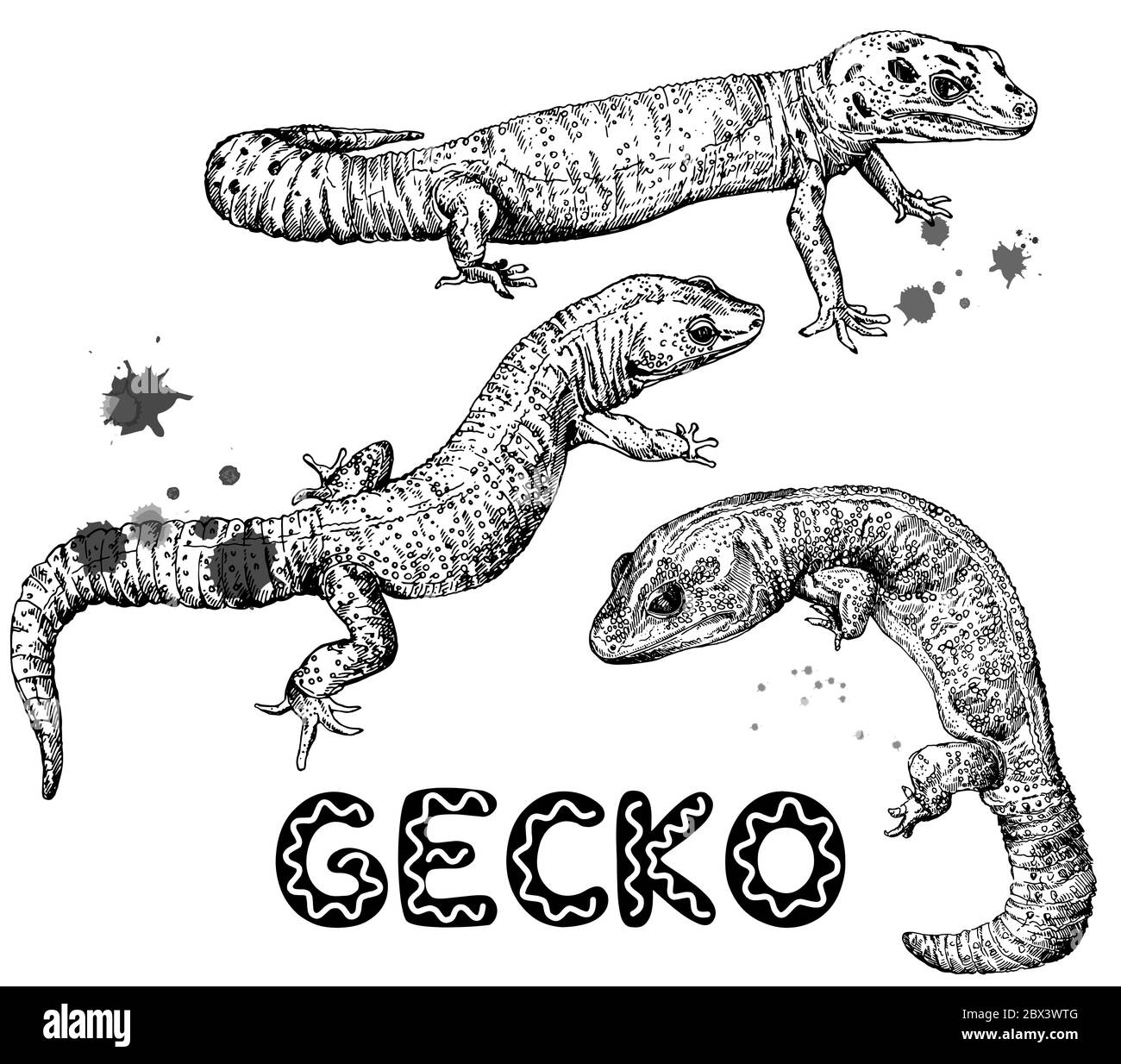 Set of hand drawn sketch style geckos isolated on white background ...