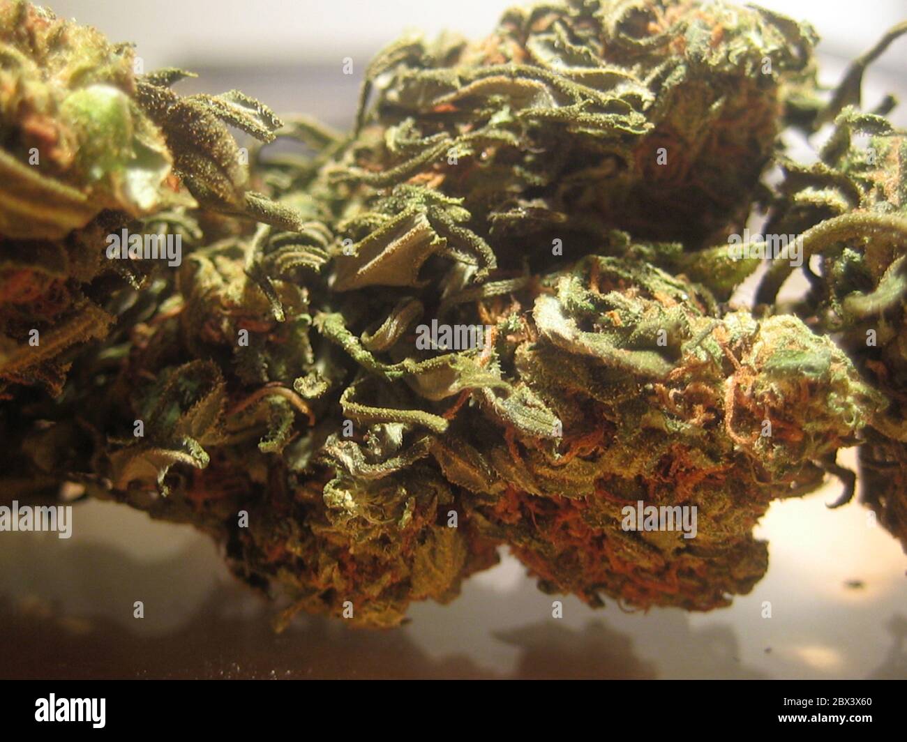 Cannabis medical marihuana creta greece retro background matala 2006 ...