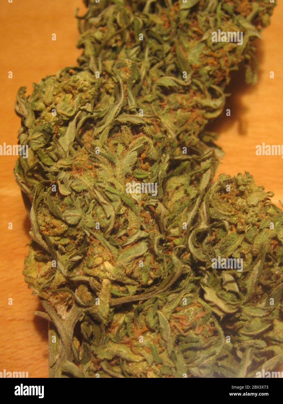 Cannabis medical marihuana creta greece retro background matala 2006 ...