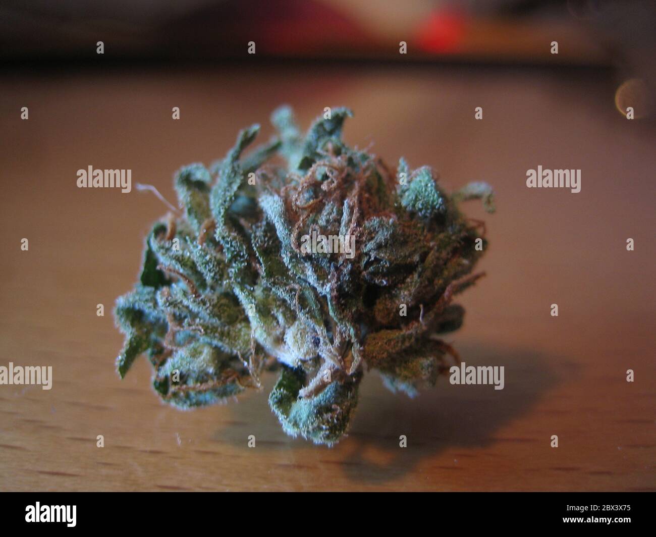 Cannabis medical marihuana creta greece retro background matala 2006 ...