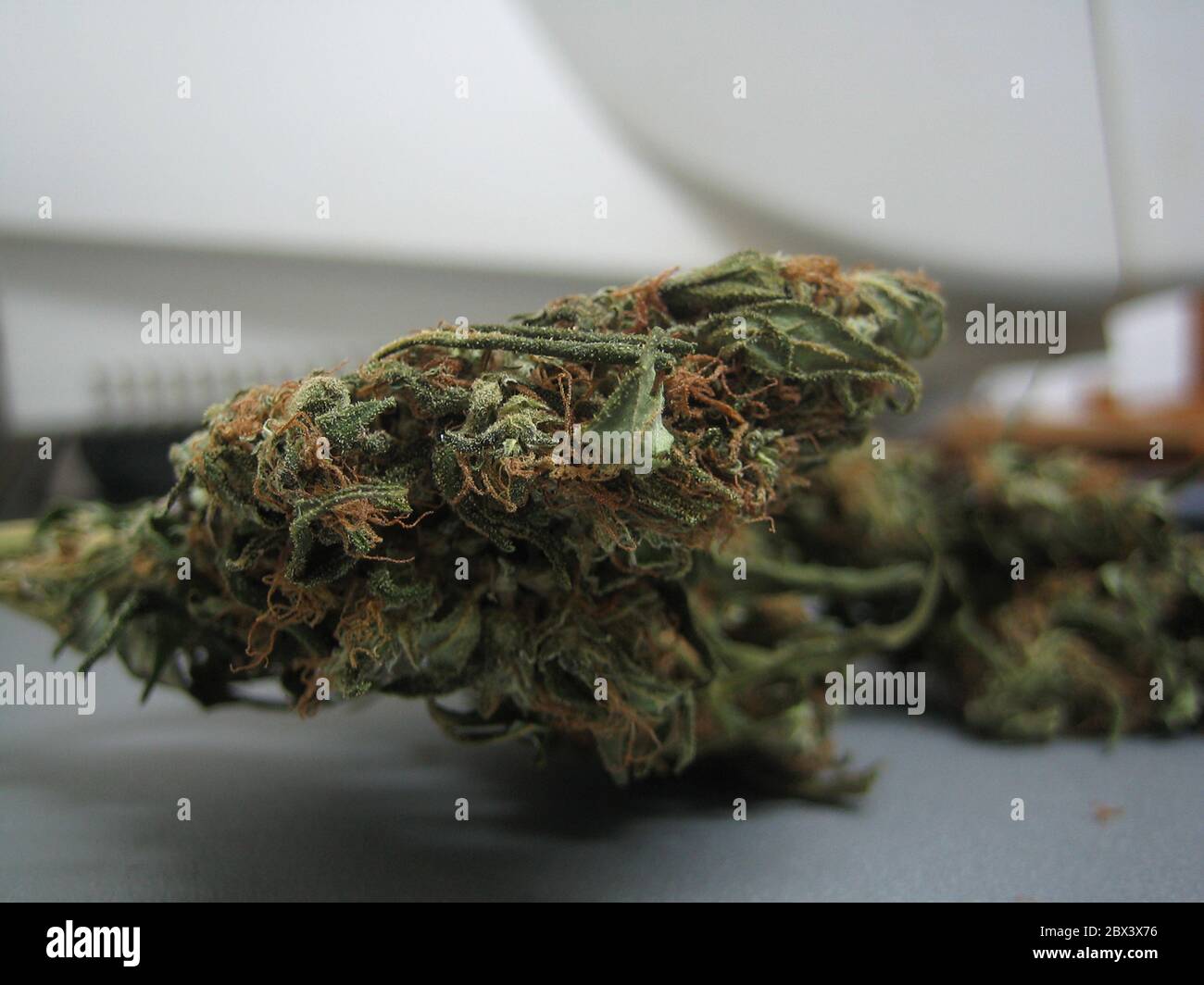 Cannabis medical marihuana creta greece retro background matala 2006 ...