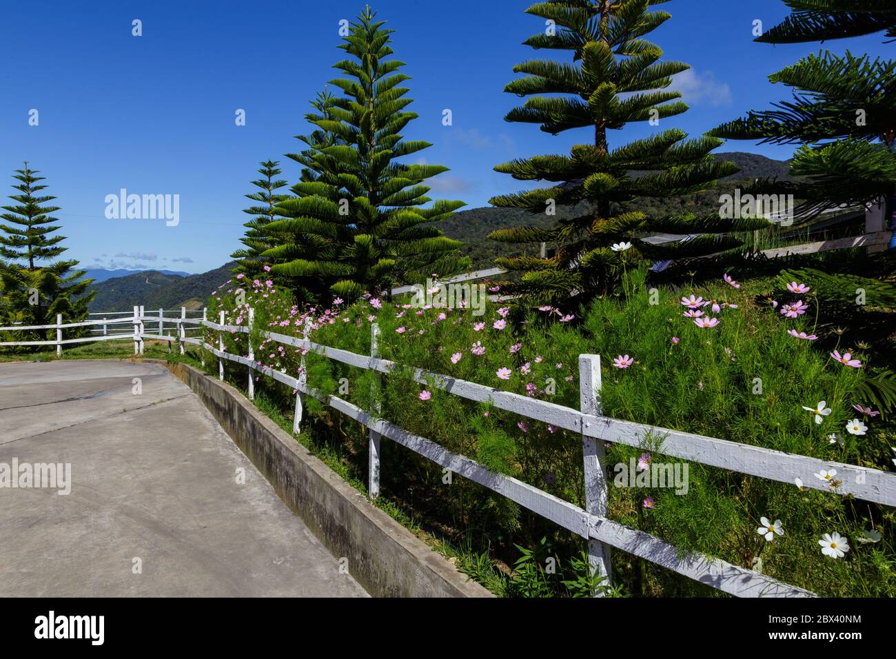 Borneo happy farm hi-res stock photography and images - Alamy