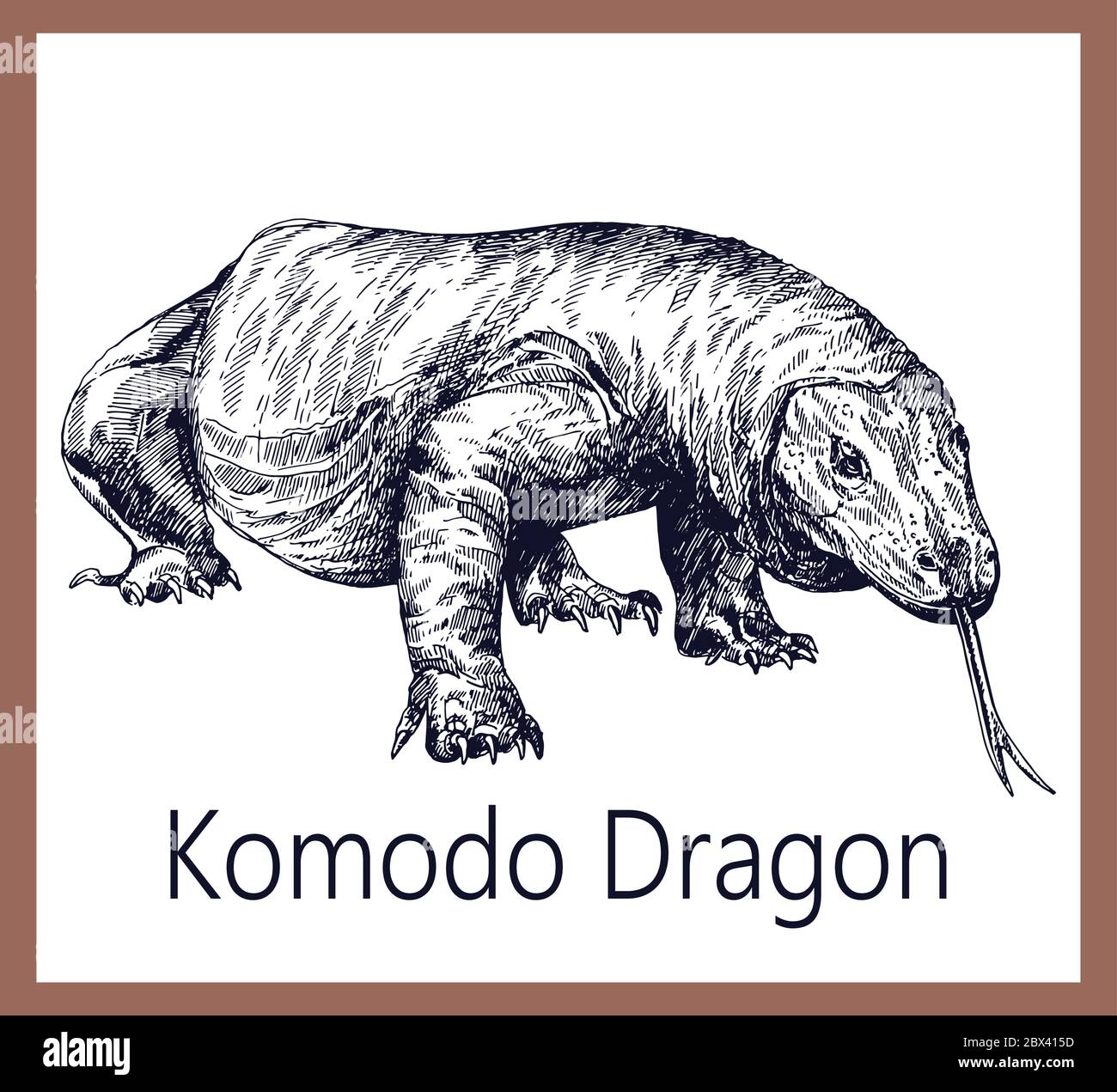 Hand drawn sketch style Komodo dragon isolated on white background ...