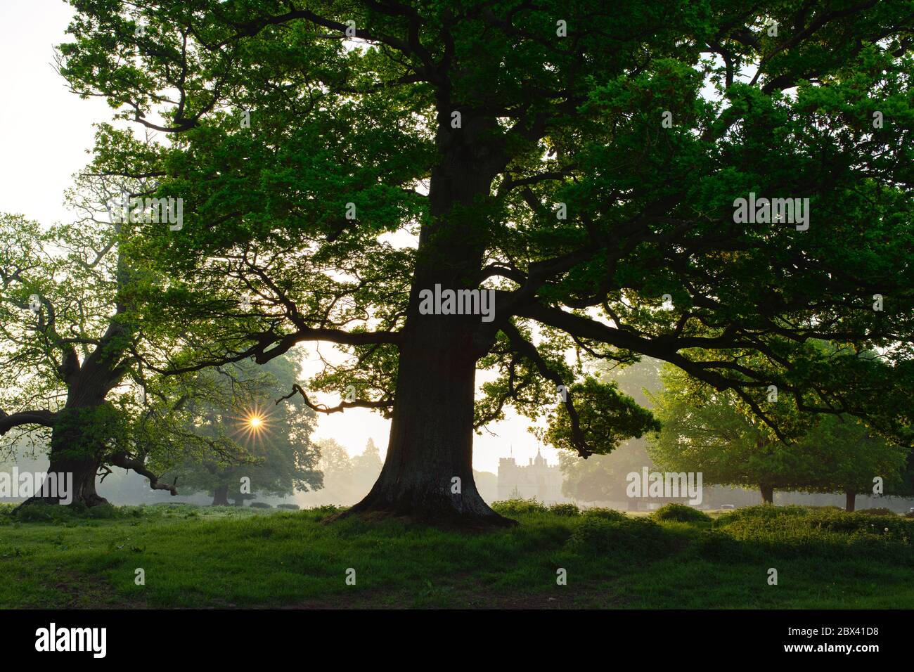 Rousham park hi-res stock photography and images - Alamy
