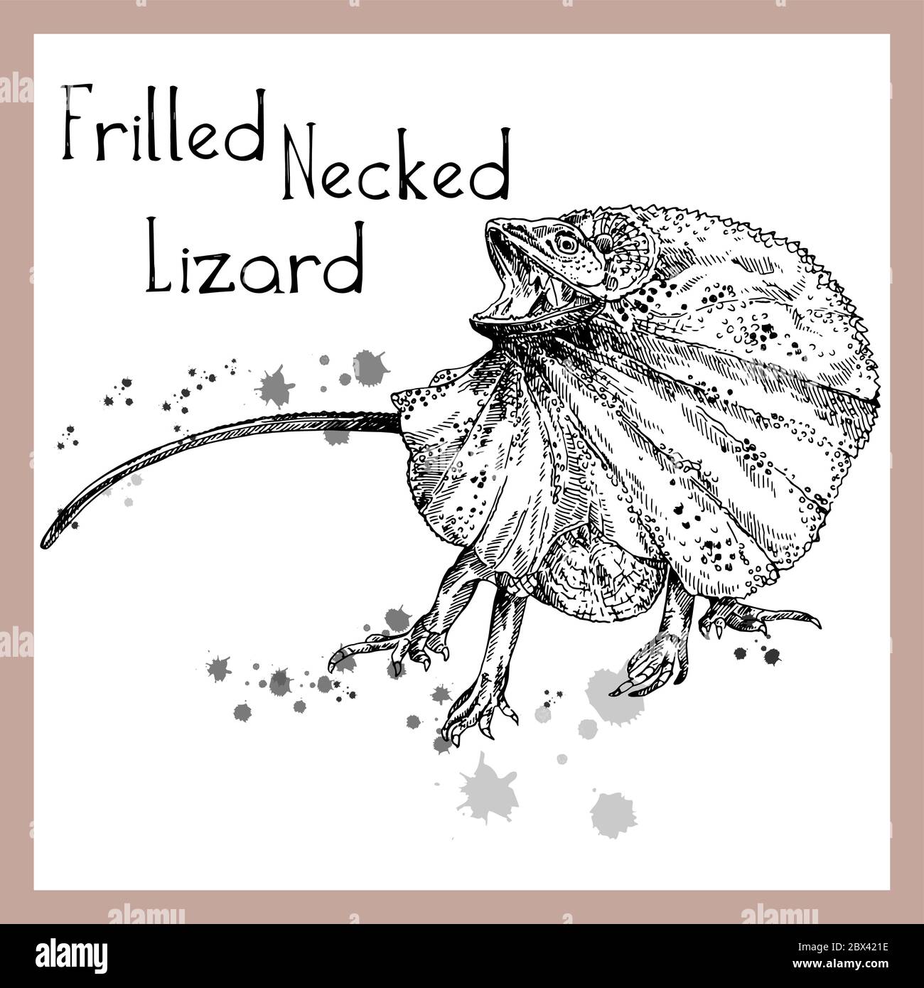 Australia lizard art hi-res stock photography and images - Alamy