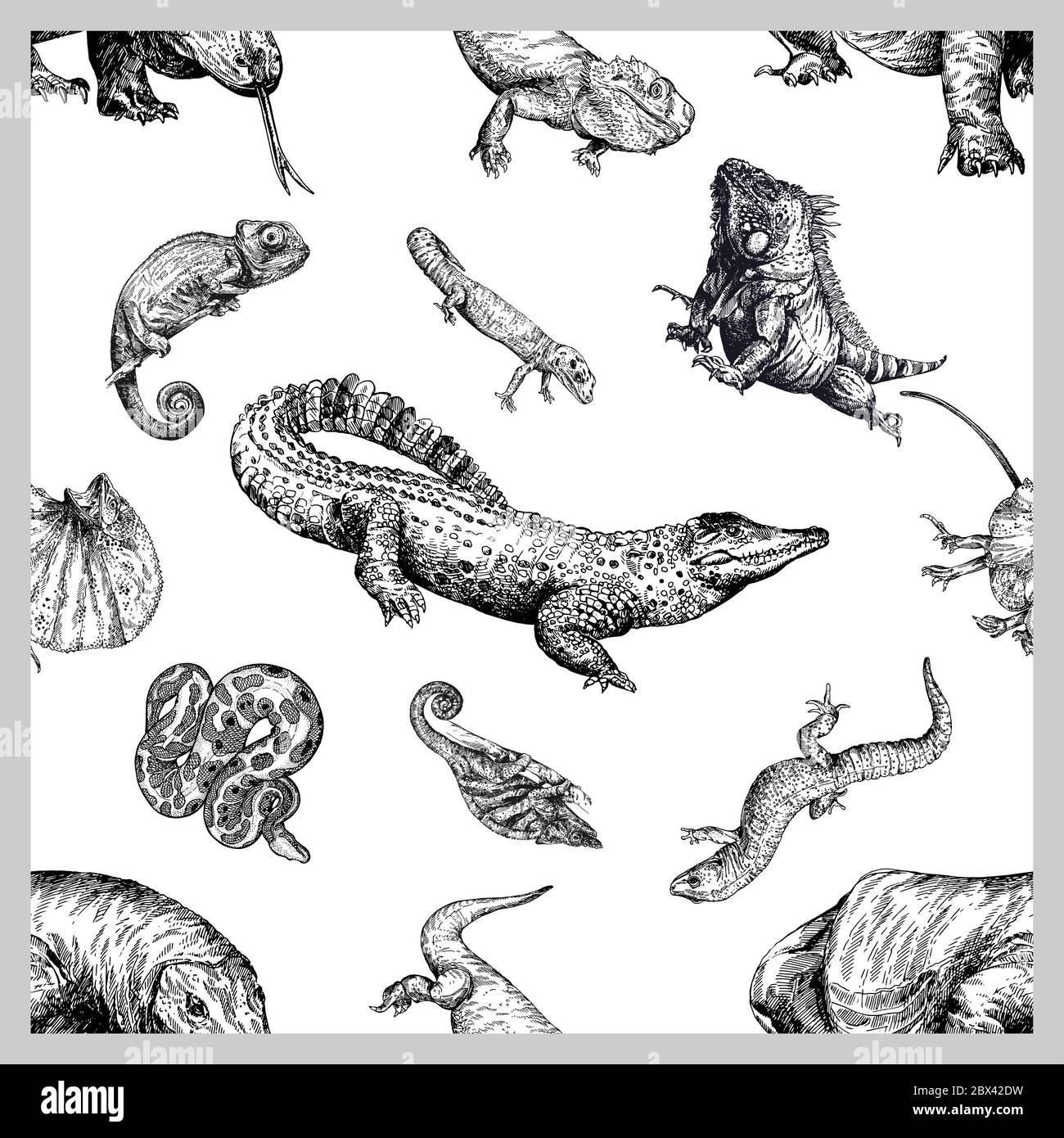 Seamless pattern of hand drawn sketch style reptiles isolated on white ...