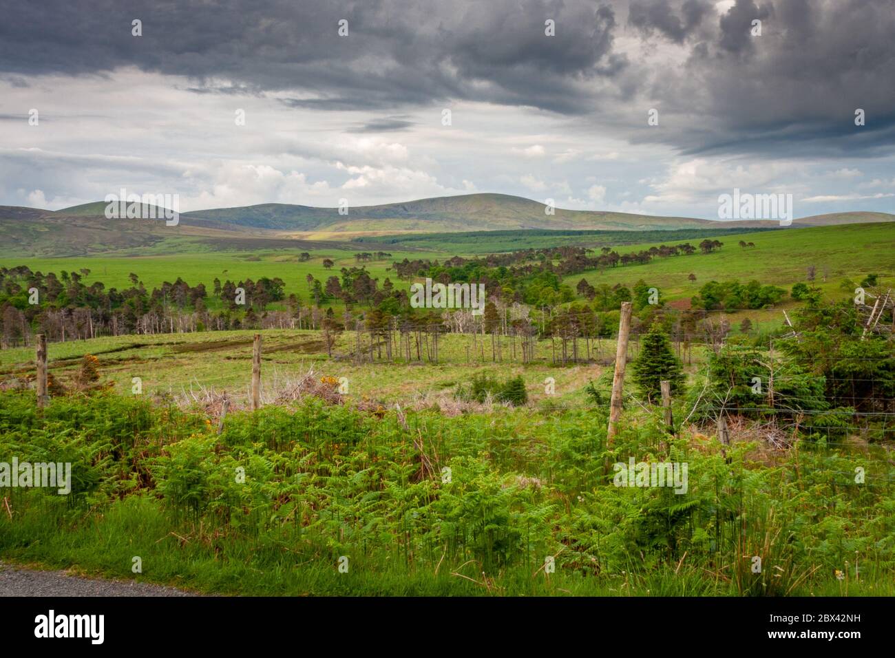 Guinness lake ireland hi-res stock photography and images - Alamy