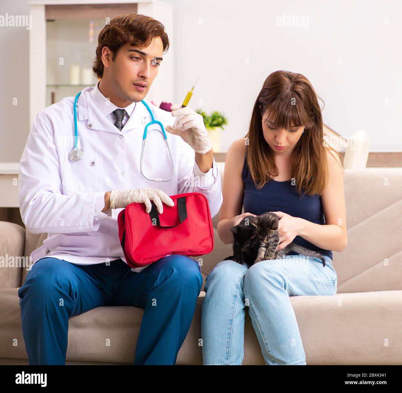 The vet doctor visiting sick kittens at home Stock Photo - Alamy