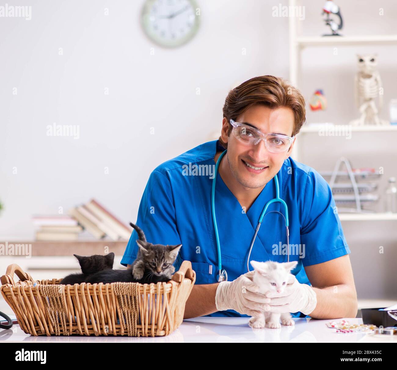 The vet doctor examining kittens in animal hospital Stock Photo - Alamy
