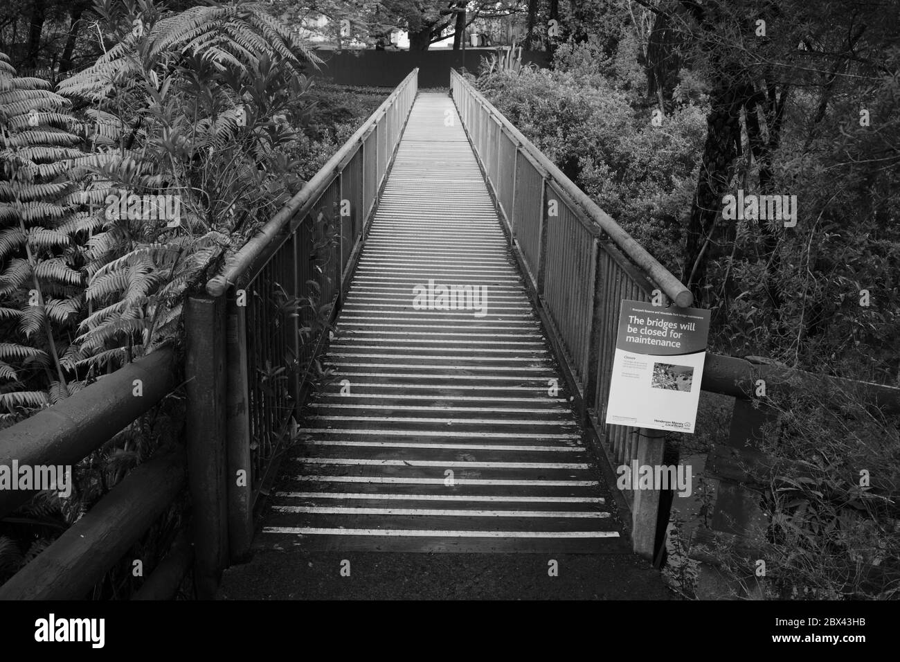 Autumn in Auckland New Zealand during level 2 Lockdown Stock Photo - Alamy